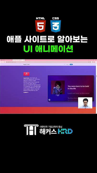 css 애니메이션 효과 사이트 Новости России и мира сегодня