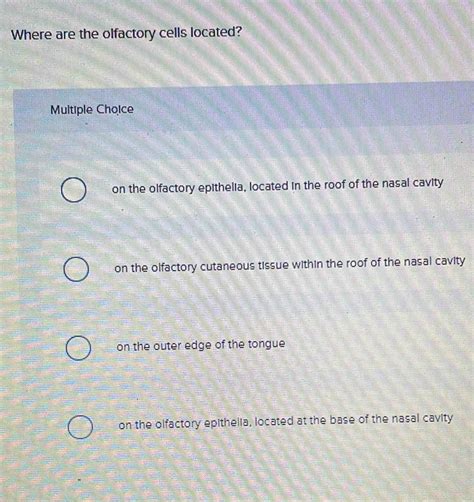 Solved Where Are The Olfactory Cells Located Multiple Choice On The Olfactory Epithelia