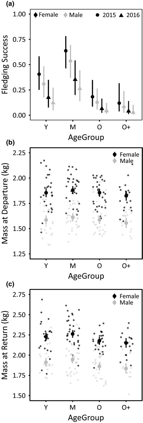 Agegroup Sex And Breeding Season Differences In A Fledging Success