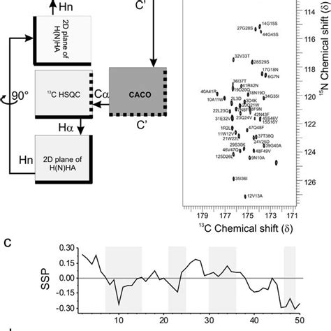 Nmr Data Overview A Schematic Representation Of The Nmr Workflow Download Scientific Diagram