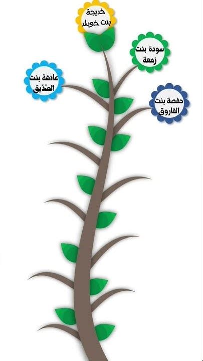 زوجات الرسول صلى الله عليه وسلم صدقة جارية Youtube