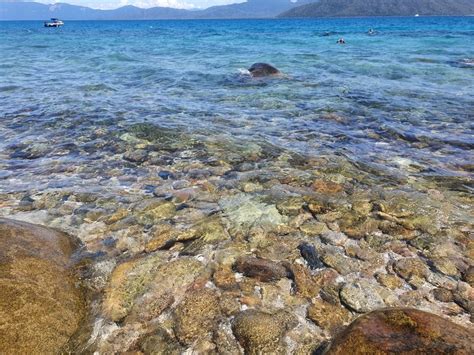 줌줌 후기 리프 크루즈 대신 가성비 좋은 피츠로이 아일랜드 투어 스노클링 투명보트 액티비티 장하