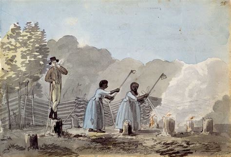 Slavery In The Northern Colonies