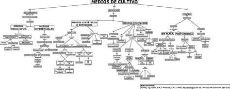 Blog De Temas Selectos De BiologÍa Mapa Conceptual De Medios De Cultivo