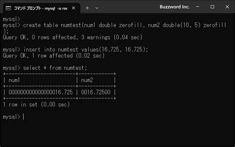 MySQL 浮動小数点数型 FLOAT DOUBLE