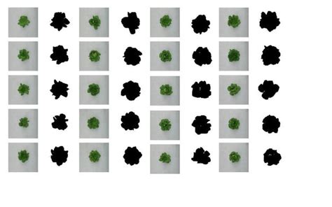 Formula Used To Calculate Lai Rmse On Predicted Outcome Download