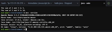 How To Set Up AWS SDK For Java Using Cloud To Run An Application CloudThat Resources