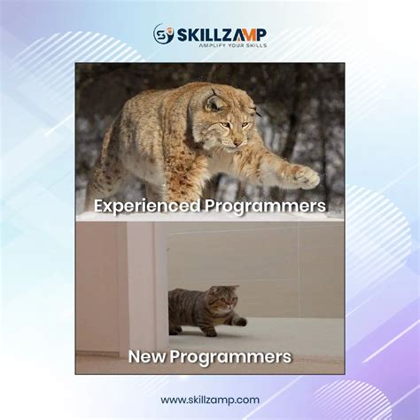 Skillzamp On Linkedin Programminglife Newprogrammer Experiencedprogrammer Codingjourney