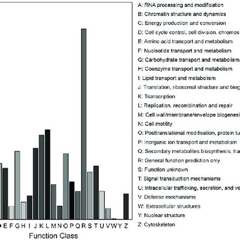 Histogram Presentation Of Clusters Of Orthologous Groups Cog