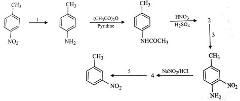 Ncert Exemplar Problems With Answers Hints And Solutions Long Answer Questions From Pradeep