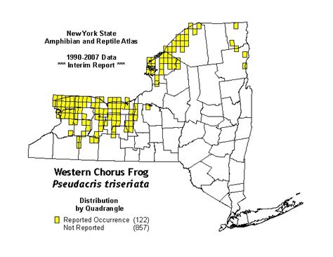 Western Chorus Frog Facts And Pictures