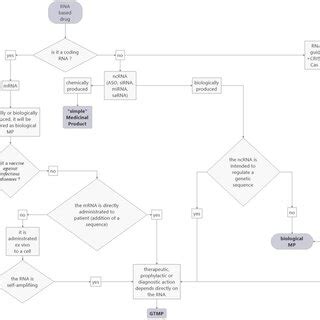 Proposed Flowchart To Facilitate The Categorization Of RNA Based