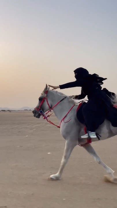 بنت راكبة خيول فارسة News خيل اكسبلور السعودية جدة العربية Horse