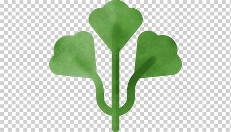 토끼풀 녹색 잎 기호 식물 꽃 클로버 Png Klipartz