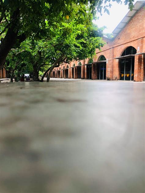 Happiest Green 💚💚 Sanjun Sathsarani