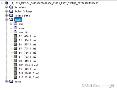 Snap软件处理sentinel 2 L2a数据为hdr或者tif文件snap怎么打开栅格文件 Csdn博客