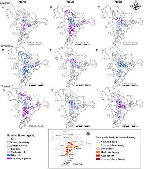 Spatial Distributions Of Bamboo Flowering Risk Levels In The Minshan