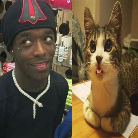 Liluzivert Cat 2013 Swag Era Lil Uzi Vert Lil Uzi