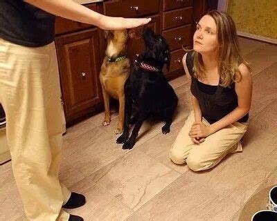 And Leash Humiliation Yandex Görselde 1 Bin Görsel Bulundu