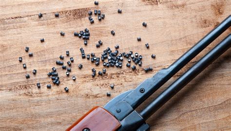 Can You Shoot A Pellet Gun In Your Backyard Gone Outdoors Your Adventure Awaits