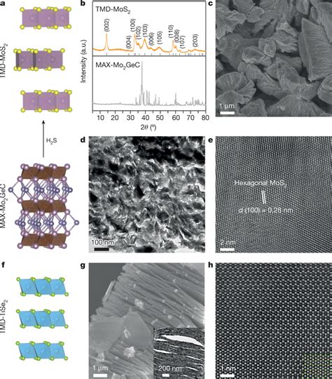 Structural Characterization Of 2d Transition Metal Chalcogenides Download Scientific Diagram