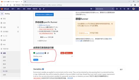 Gitlab的汉化与ci持续集成gitlab Runner的配置 编程技术分享