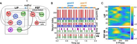 Interacting Rhythms Enhance Sensitivity Of Target Detection In A Fronto