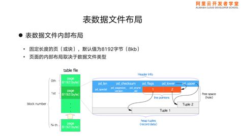 Polardb For Postgresql 开源必读手册 Polardb数据库结构（中） 阿里云开发者社区