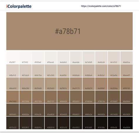 Mesa Tan Information Hsl Rgb Pantone