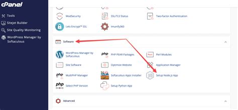 Hướng Dẫn Cài đặt Nextjs Trên Hosting Cpanel