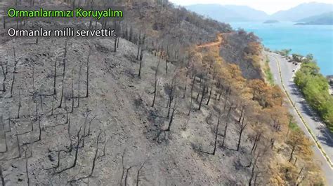 Bitirme Object Detection Dataset And Pre Trained Model By Bitirme