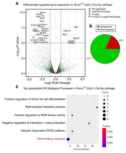 Rna Seq Standard Analysis Demo Data — Admera Health