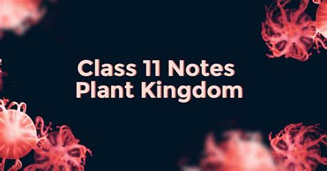 Cbse Class 11 Biology Notes Chapter 3 Plant Kingdom