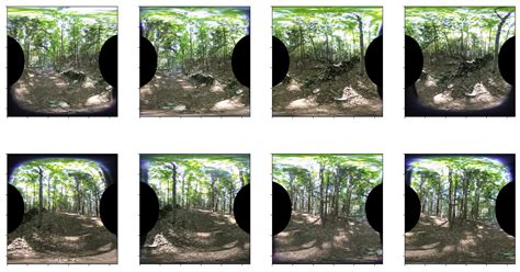 Lens Alignment Vuze 3d Stitcher