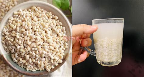 Minum Air Barli Petua Jika Kencing Kotor Waktu Hamil Hilang Rasa Pedih Kencing Jadi Puas