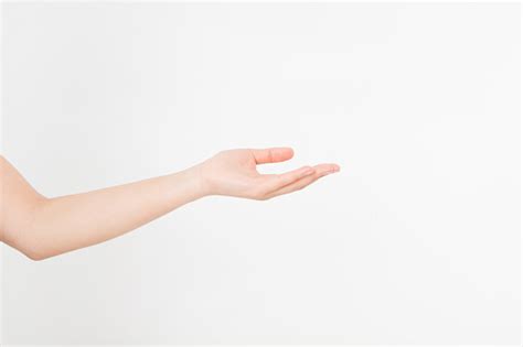 흑인 여성의 손을 열고 흰색 배경에 고립 된 손바닥 전면 보기입니다 모의 공간을 복사합니다 템플릿 빈 Revolution에 대한 스톡 사진 및 기타 이미지 Istock