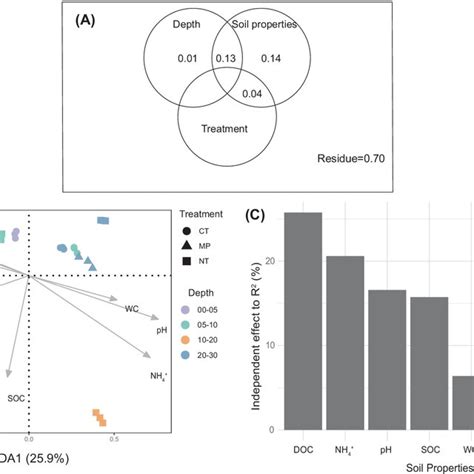 The Absolute Abundance Of Key Functional Genes And Process Involved In Download Scientific
