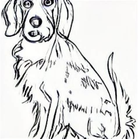 Data Wrangling Functions Crystal Lewis