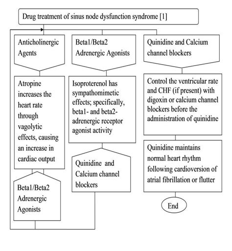 Drug Treatment Of Sinus Node Dysfunction Syndrome Algorithm For Making Download Scientific