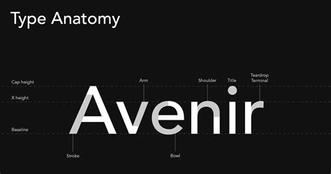 Avenir Font Download Free Fonts