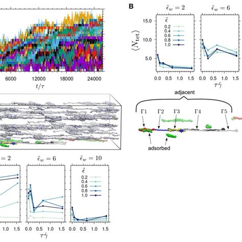 Brownian Dynamics Simulations Of Multi Chain Vwf Like Biopolymers Download Scientific Diagram