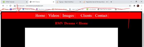 Html Navigation Bar At The Top Shows Some Background Color Around