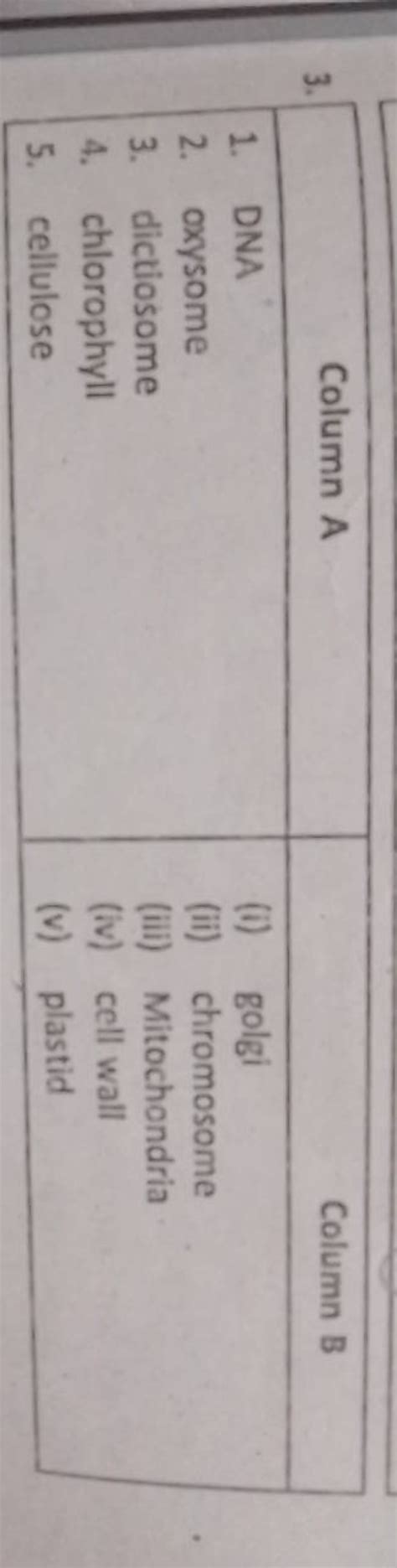 3begin Tabular L L L Hline Multicolumn 2 C Column