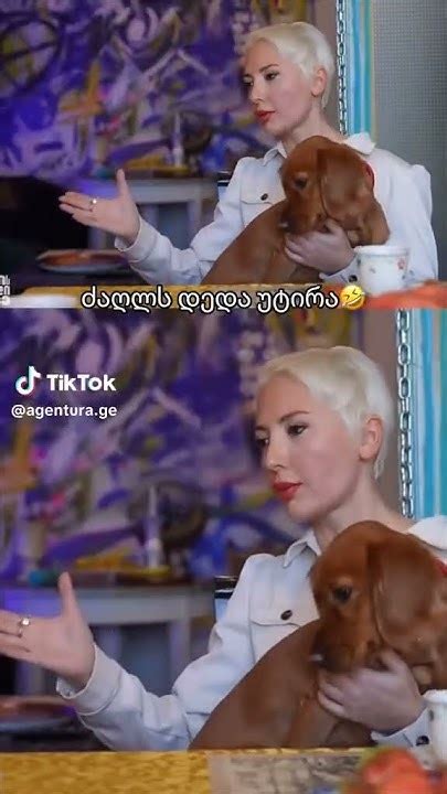 იმ ძაღლს ომი უნდოადა რო მოიგდო გვერძე 🤣🫵🐶 Youtube