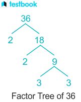 Prime Factorization Definition Methods With Solved Examples