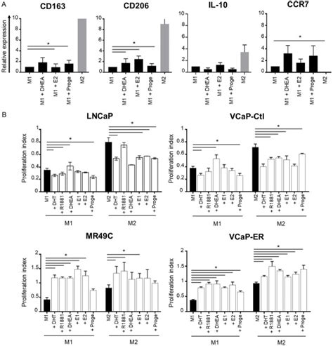 Sex Steroid Modulation Of Macrophages Within The Prostate Tumor Microenvironment Abstract