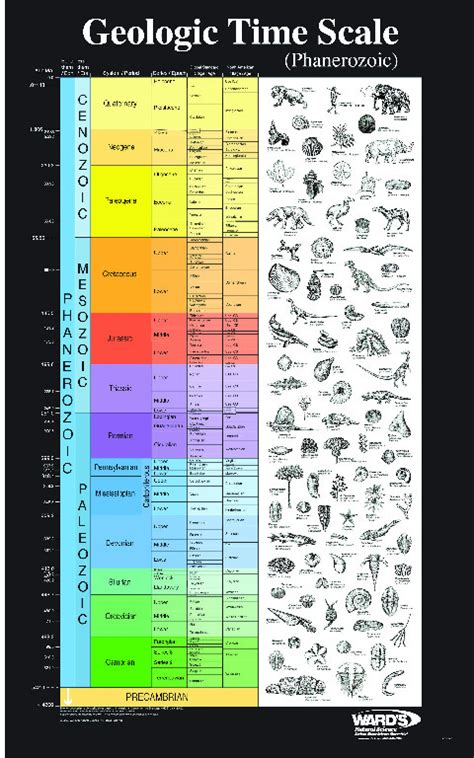 Wards® Geologic Time Scale Charts Charts