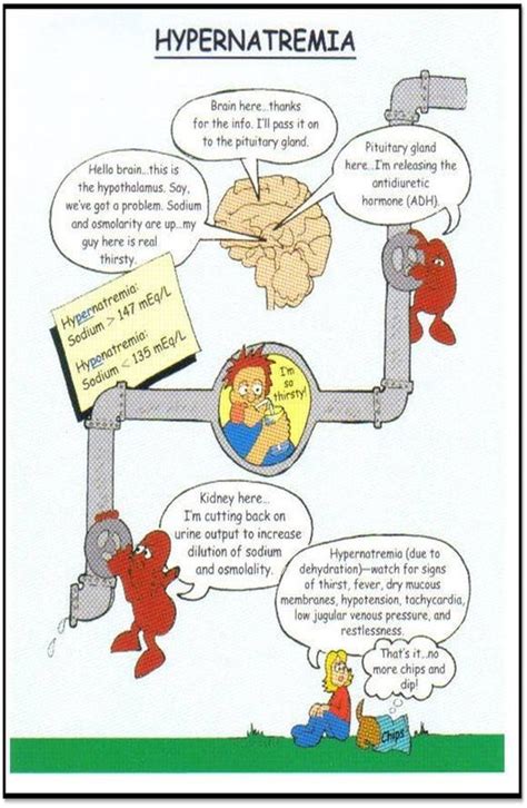 Hypernatremia Nursing Babe Studying Nursing Babe Notes Nursing Career Nursing Study