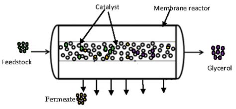 What Are Membrane Reactor Used For At Jeniffer Rowe Blog