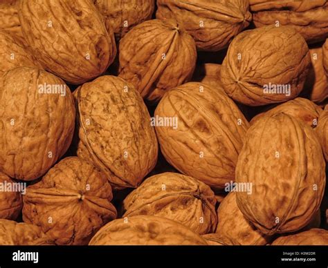 Nuts With Shell Stock Photo Alamy